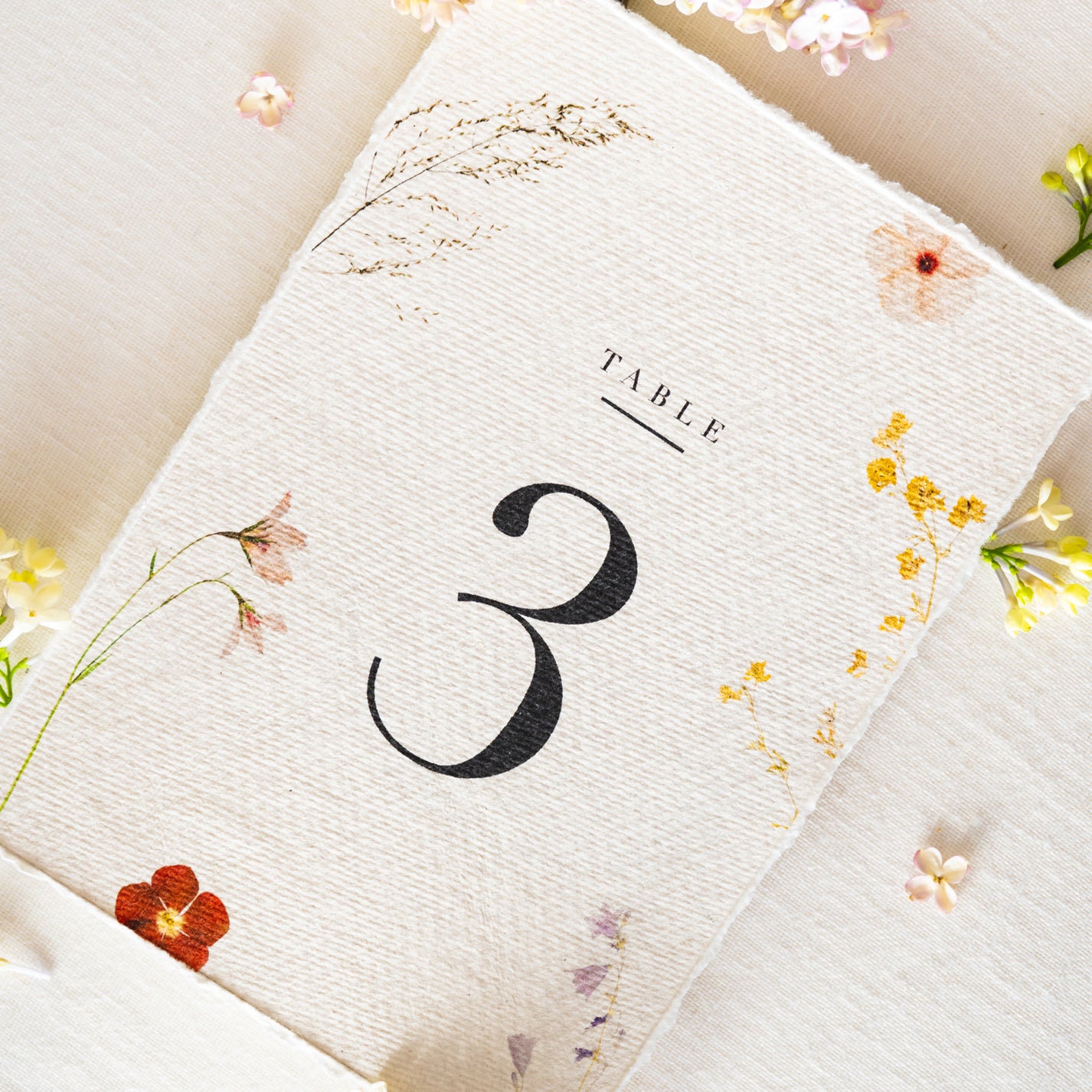 Boho Garden Table Number – Paige & Co